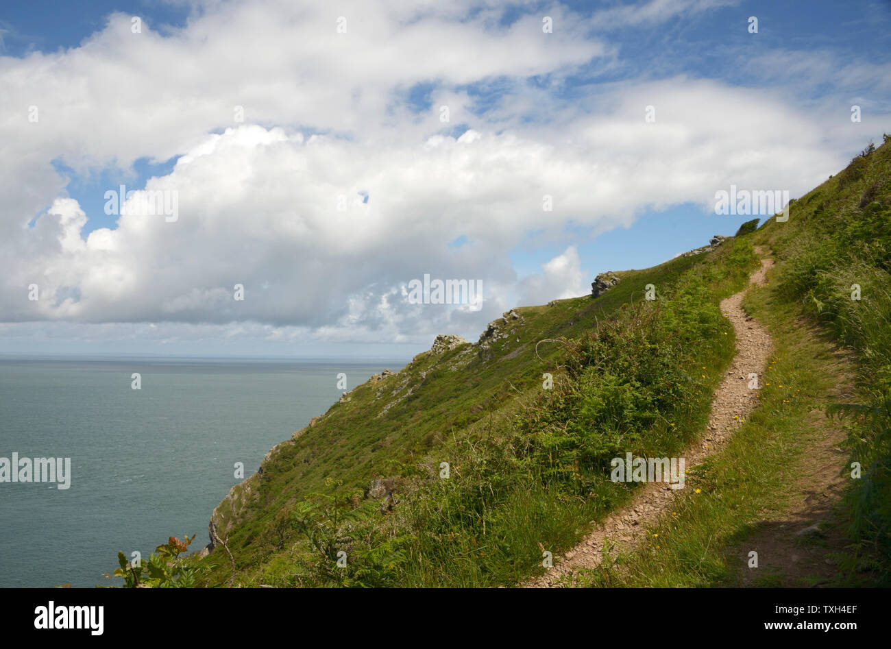 Track leading up to cliff top, Heddon Valley, Devon, England Stock ...