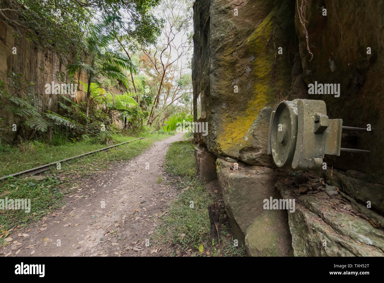 In Lawrey Plunkett Reserve, Mosman remnant parts of the old cutting and ...