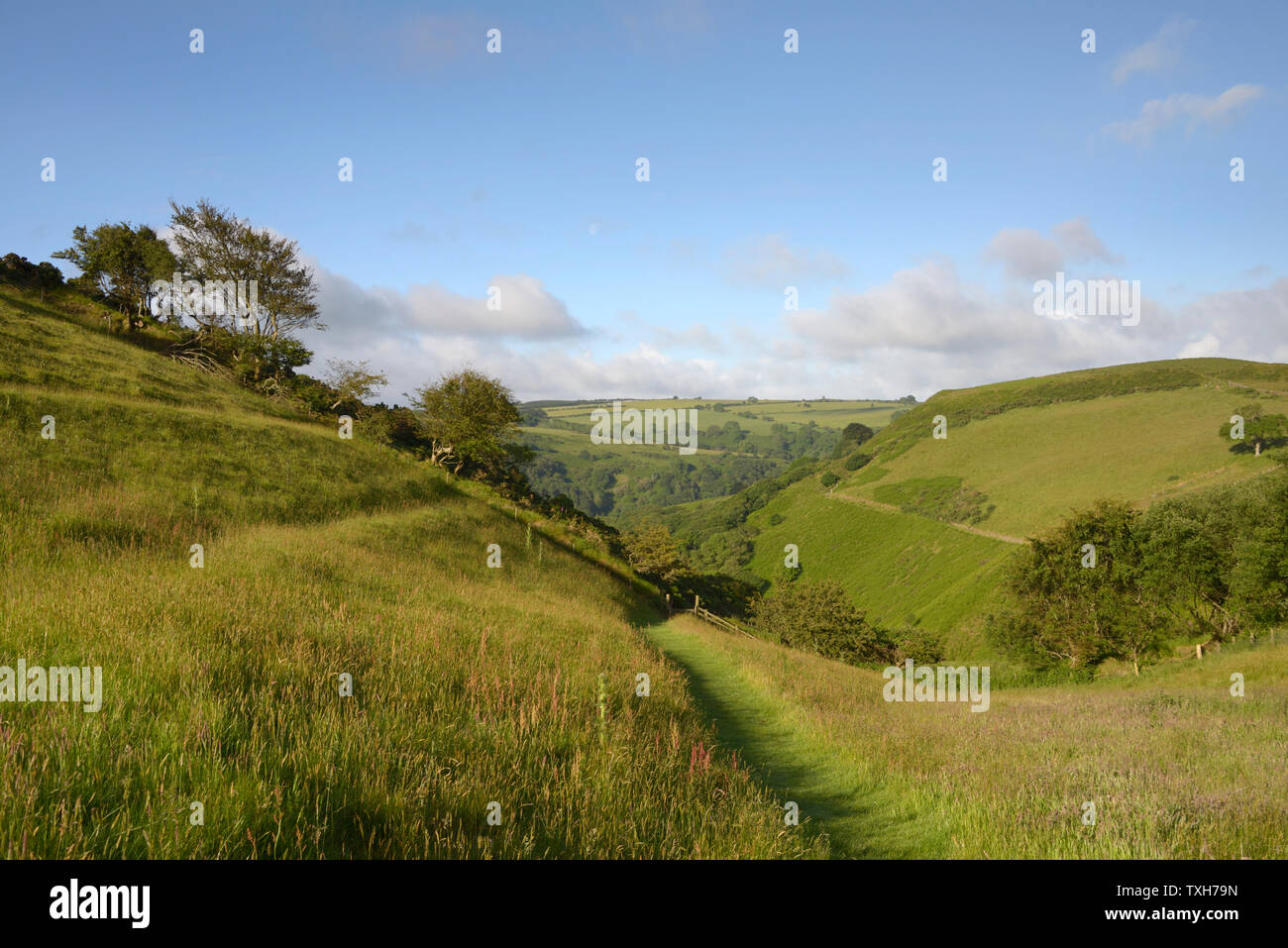 Pathway into valley, at Countisbury, Devon Stock Photo - Alamy