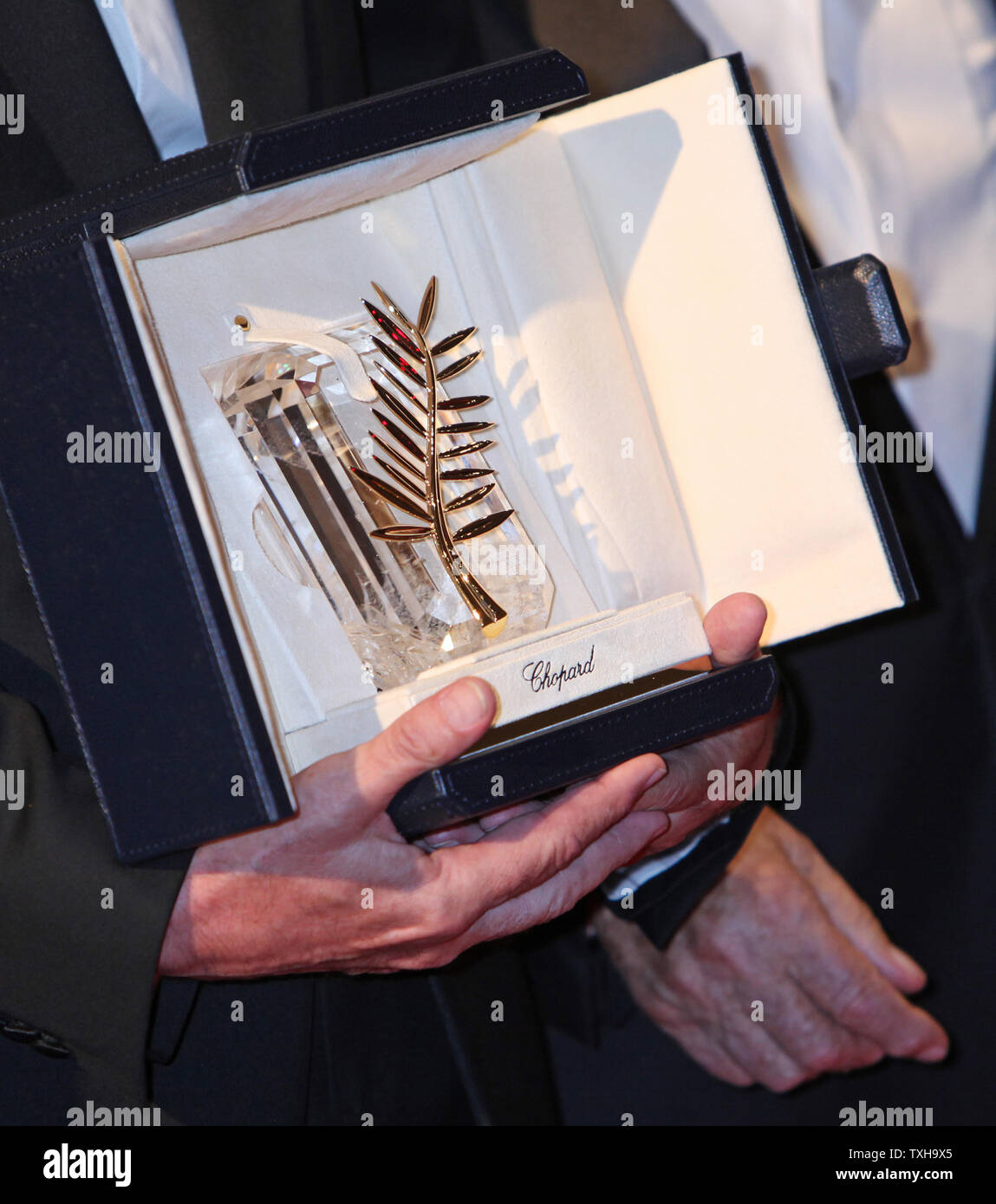 Palm d'or trophy hi-res stock photography and images - Alamy