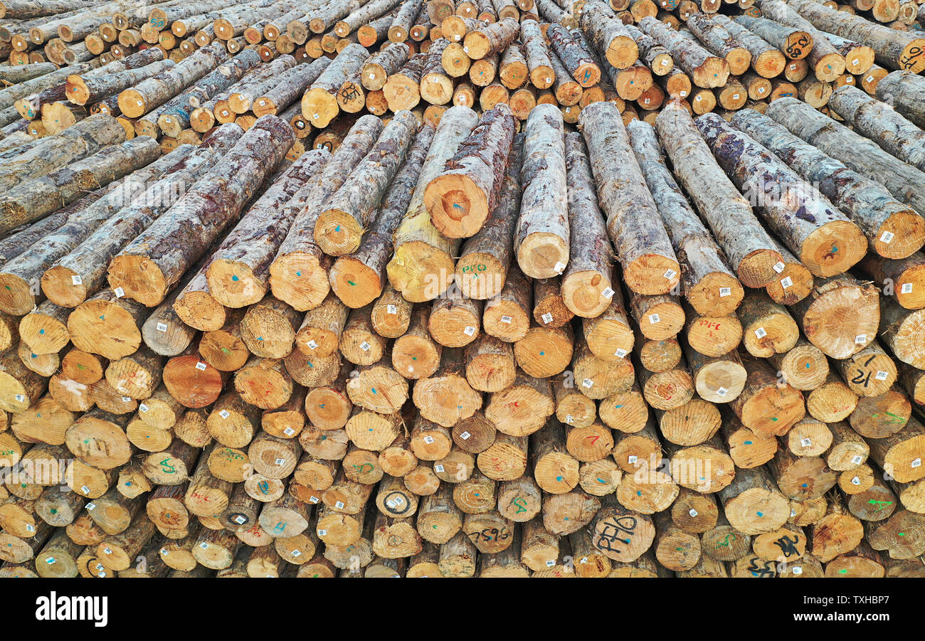 A neatly stacked log Stock Photo - Alamy