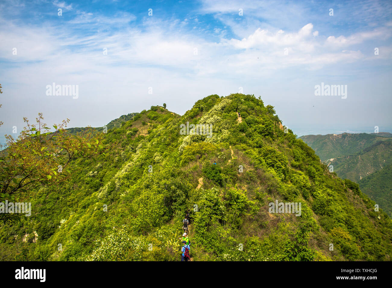 Meridian valley road Stock Photo - Alamy