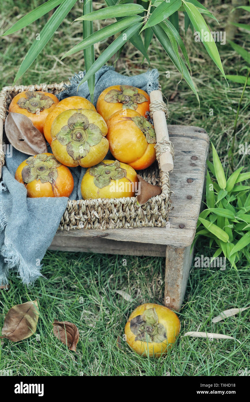 Picking persimmons hi-res stock photography and images - Alamy