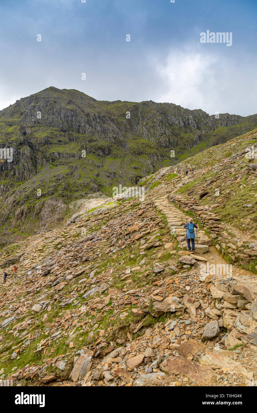 A walker on the Pyg Track heading towards Snowdon (3,560ft), Snowdonia ...