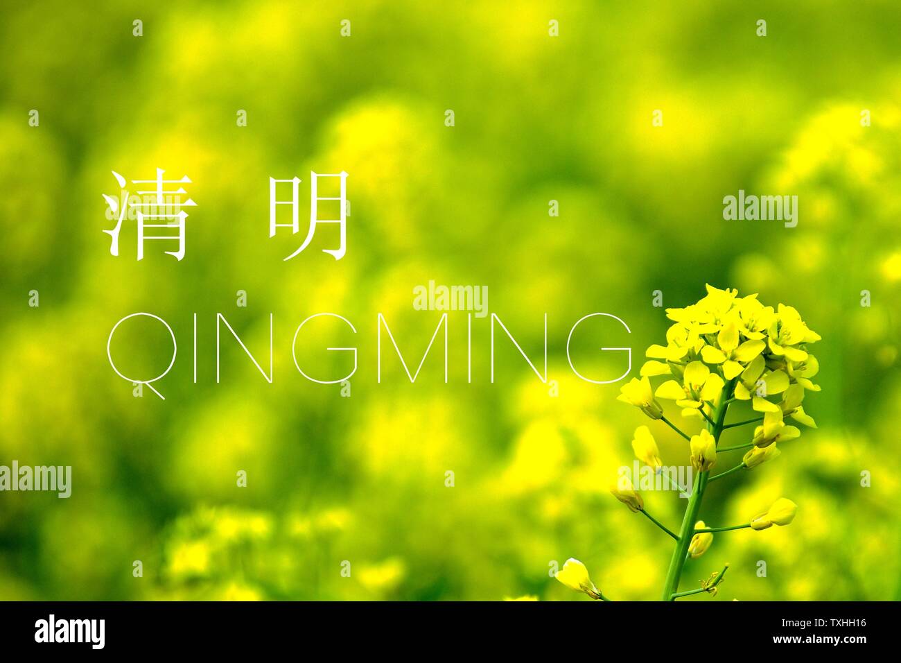 Ching ming festival hi-res stock photography and images - Alamy
