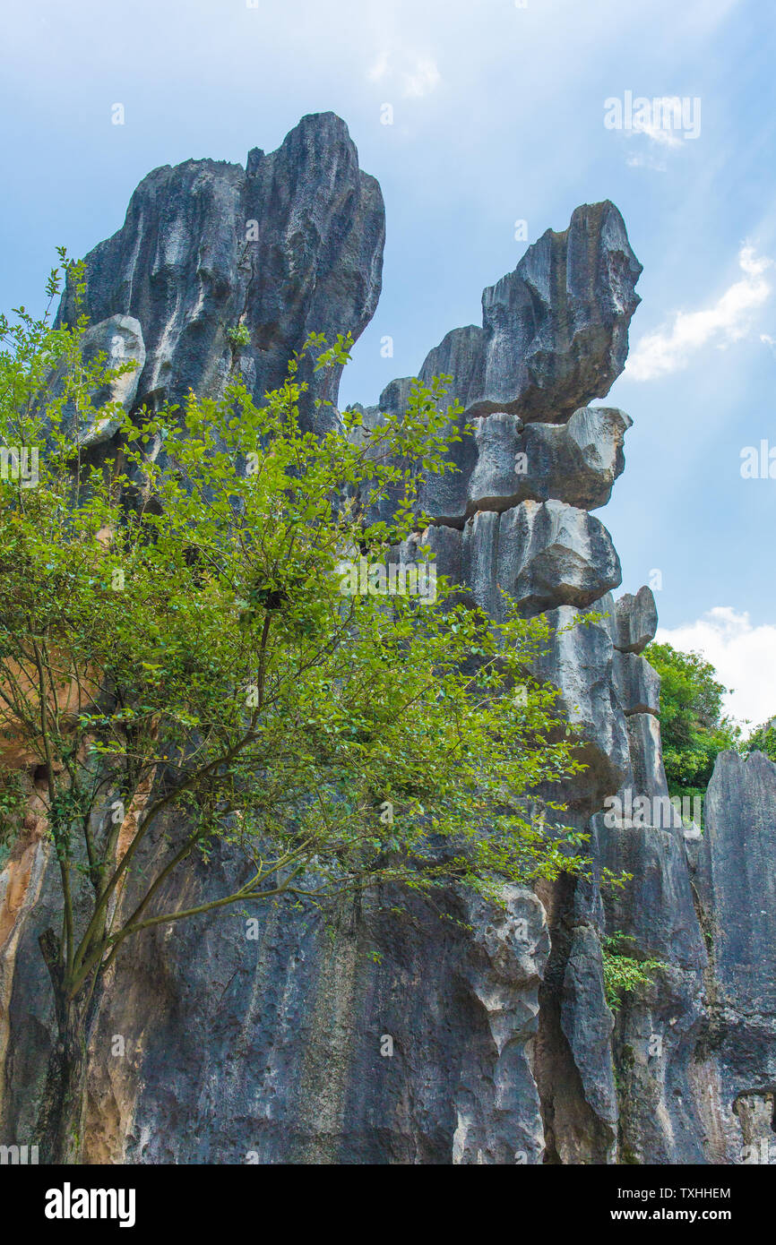 The strange stone of the stone forest scenic spot in Kunming Stock ...