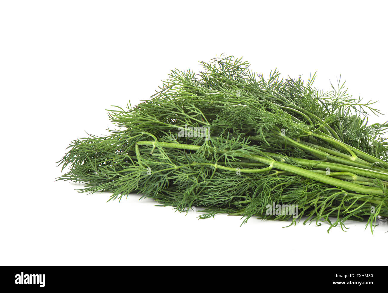 Bunch of fresh fennel on white background. Close up. Copy space Stock ...