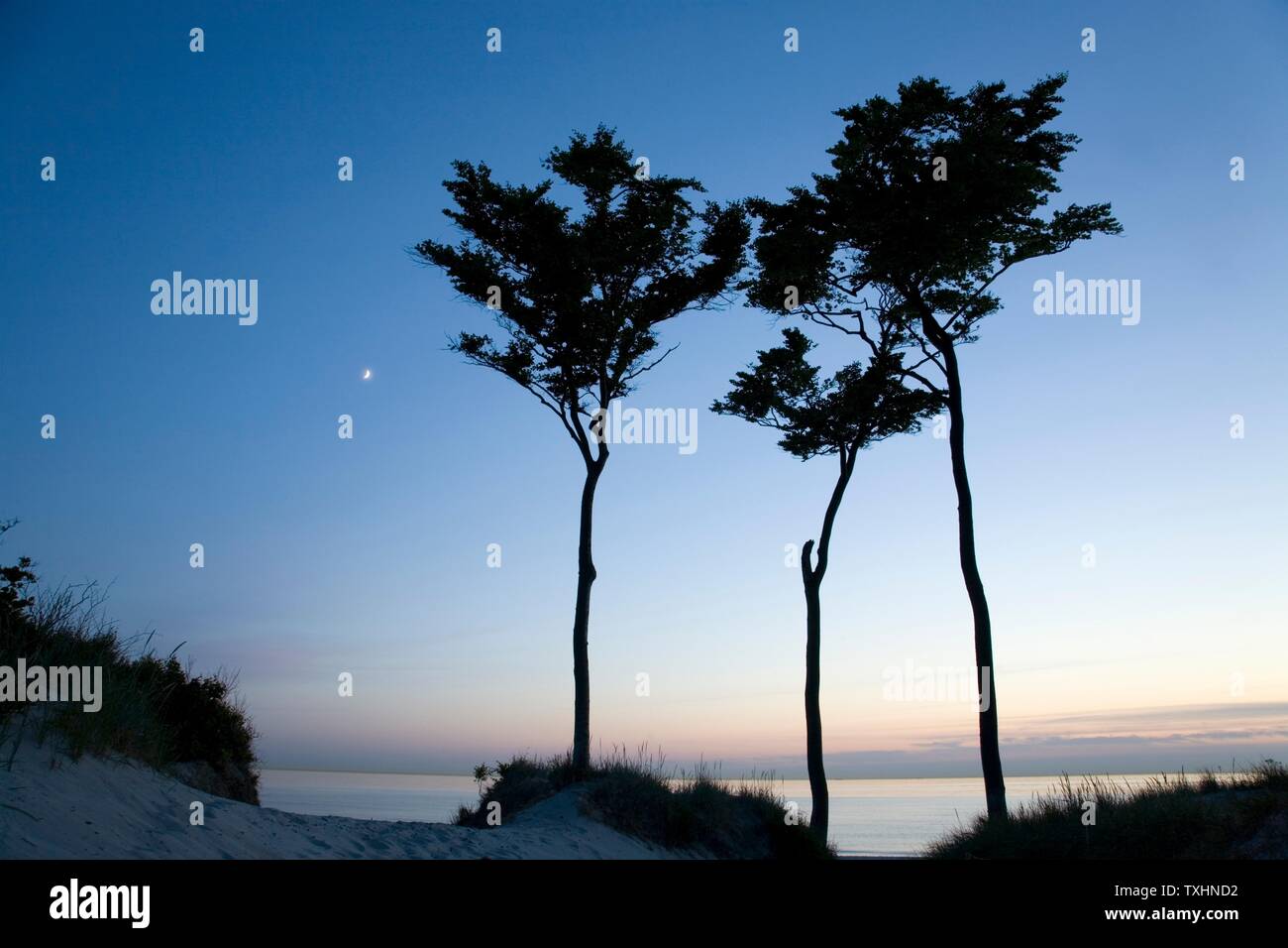 West wind zone hi-res stock photography and images - Alamy