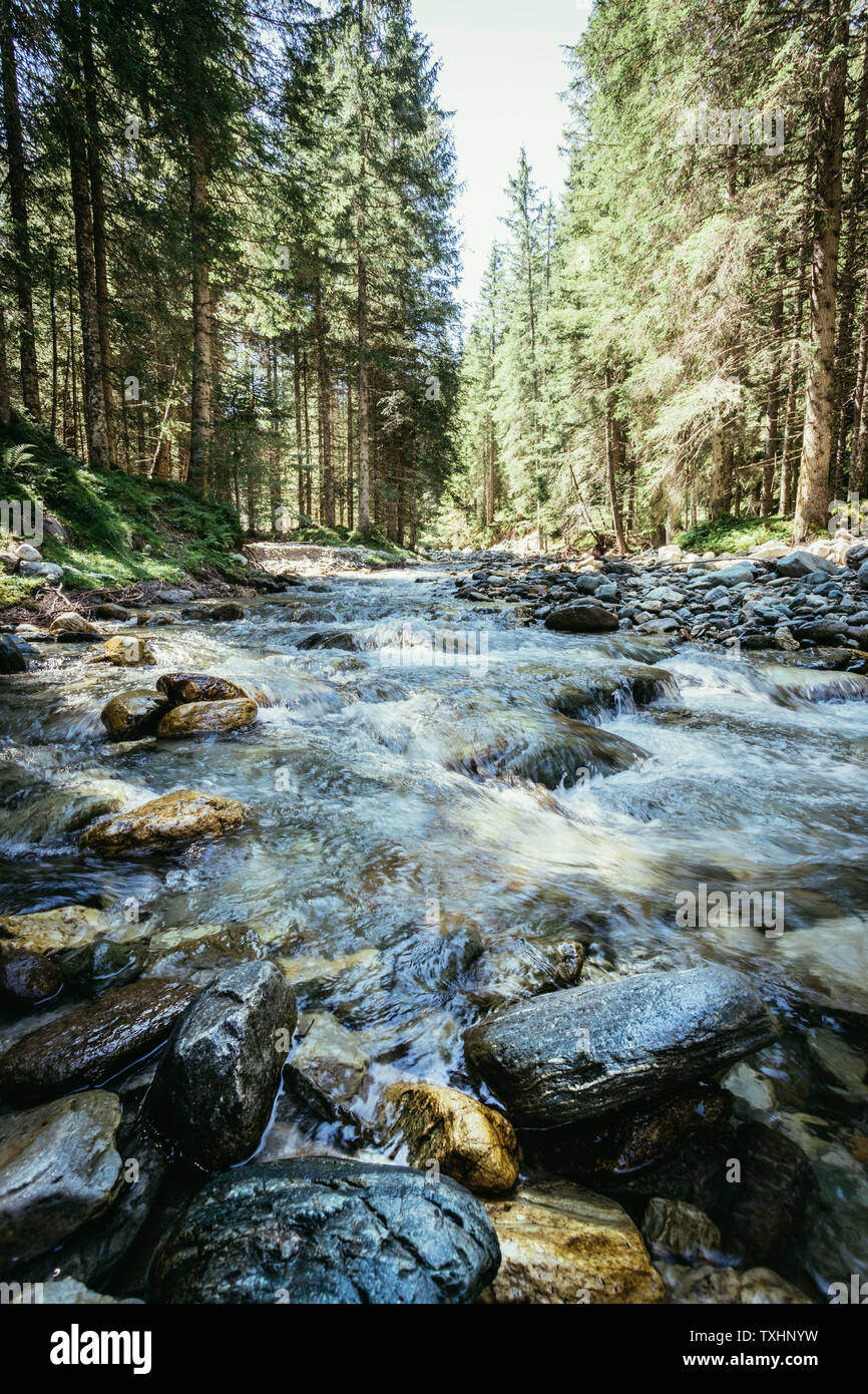 Beautiful river and forest landscape in the Alps, Austria Stock Photo ...