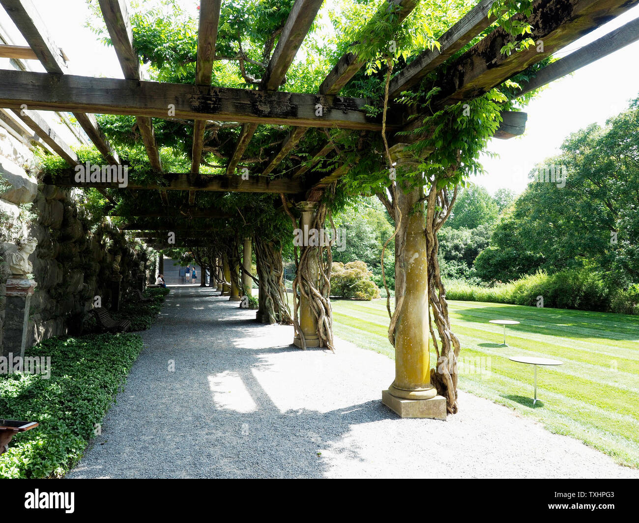 Overhead Trellis along stone wall with path at Biltmore Estates in ...