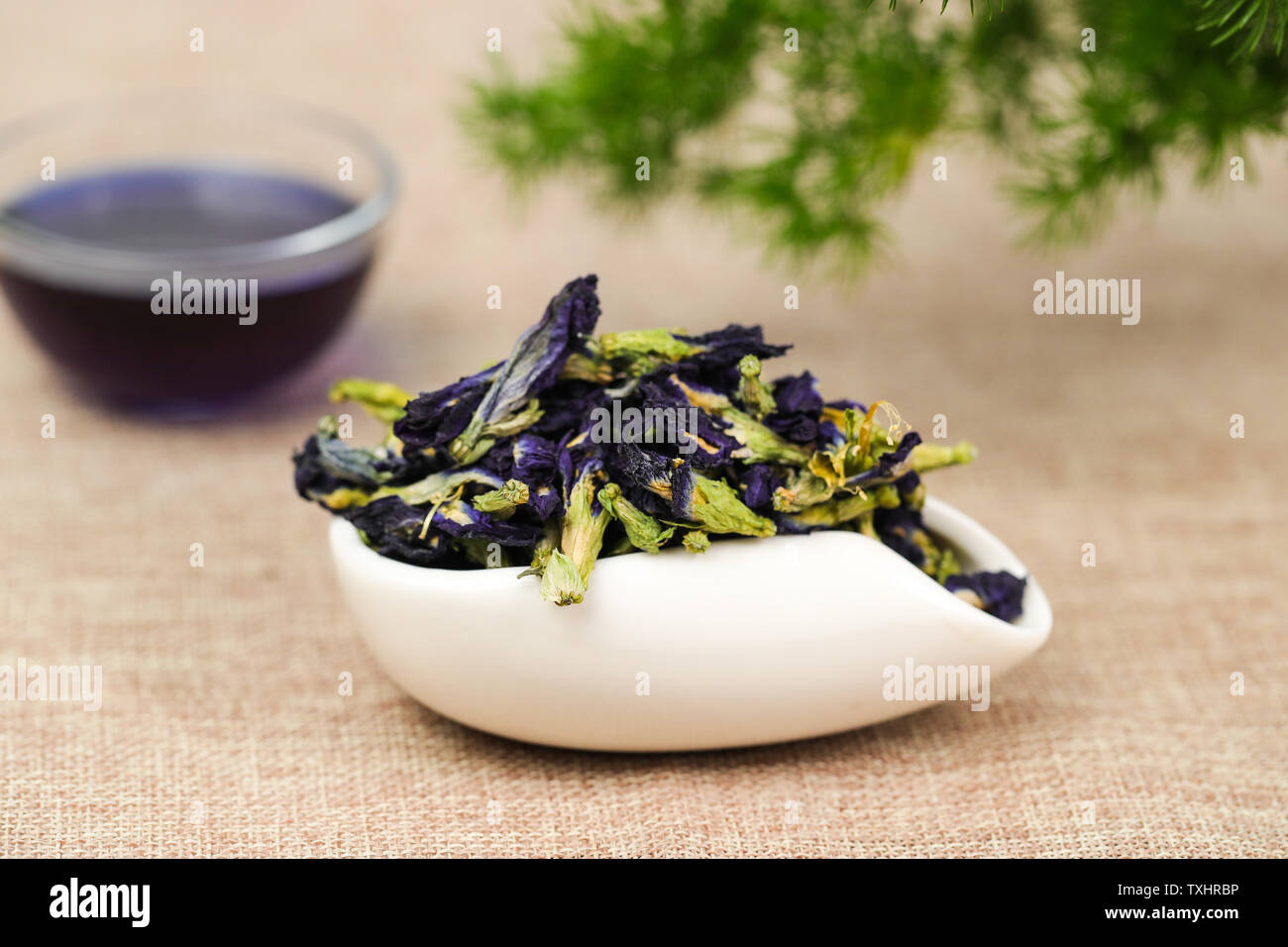 Butterfly bean flower dried flower tea Stock Photo - Alamy