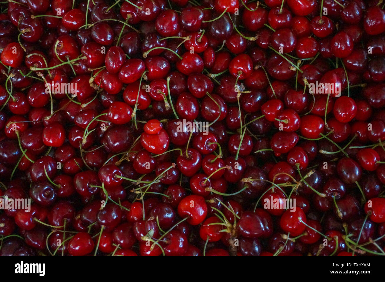 A box of fresh and juicy red cherries Stock Photo - Alamy