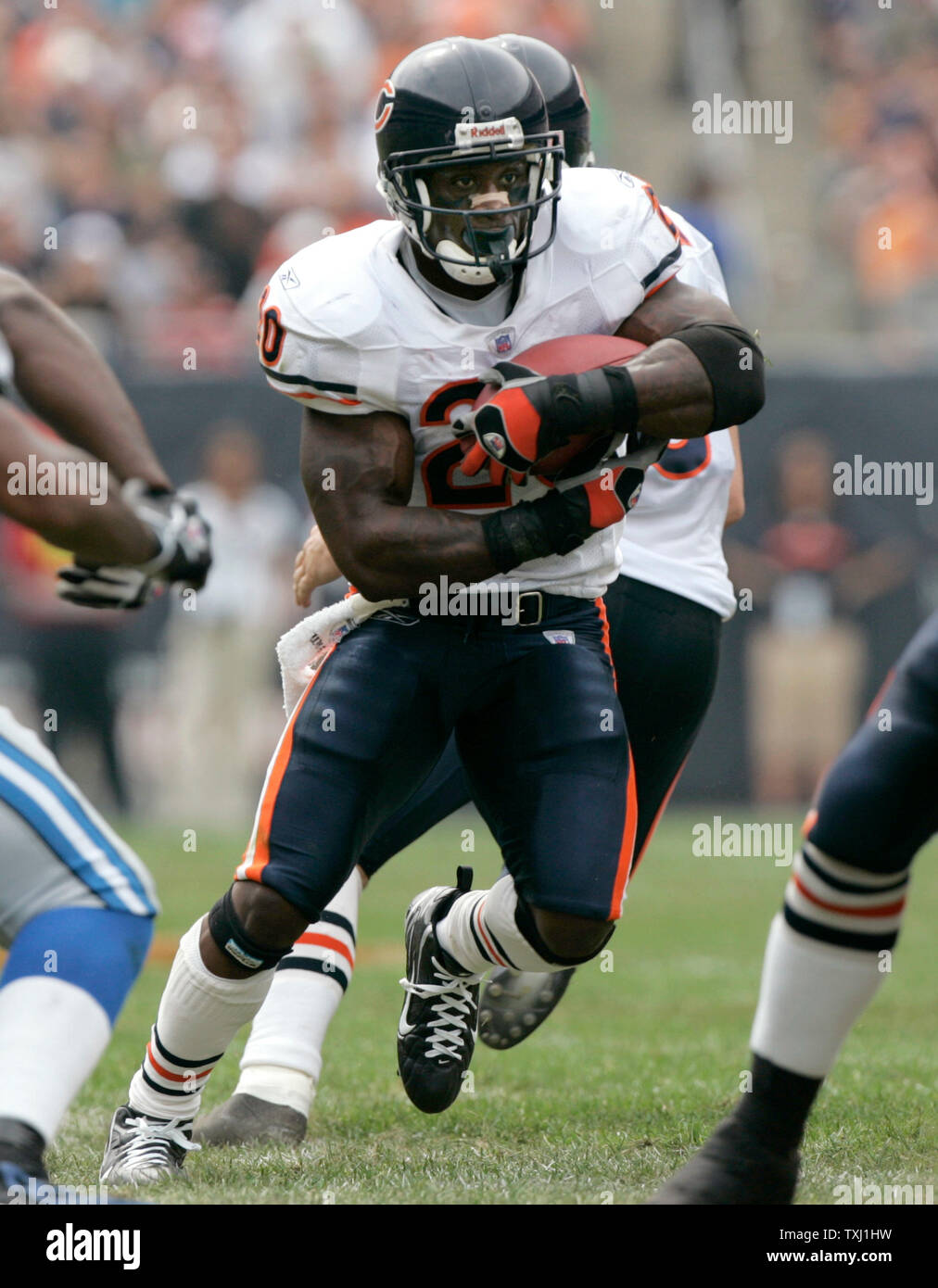 Thomas jones, bears hi-res stock photography and images - Alamy