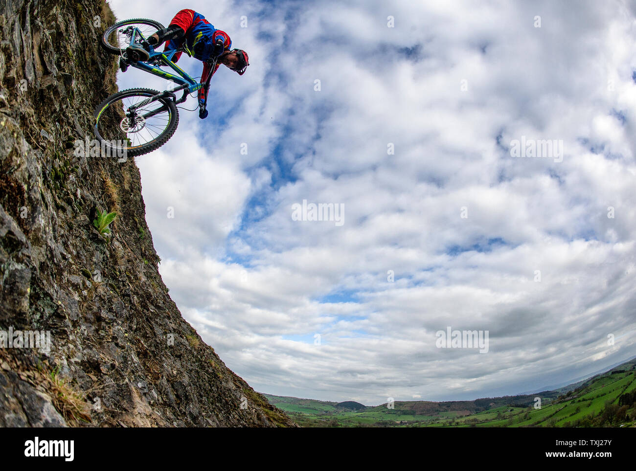 A man rides a mountain bike down a steep bank in mid Wales, UK Stock ...