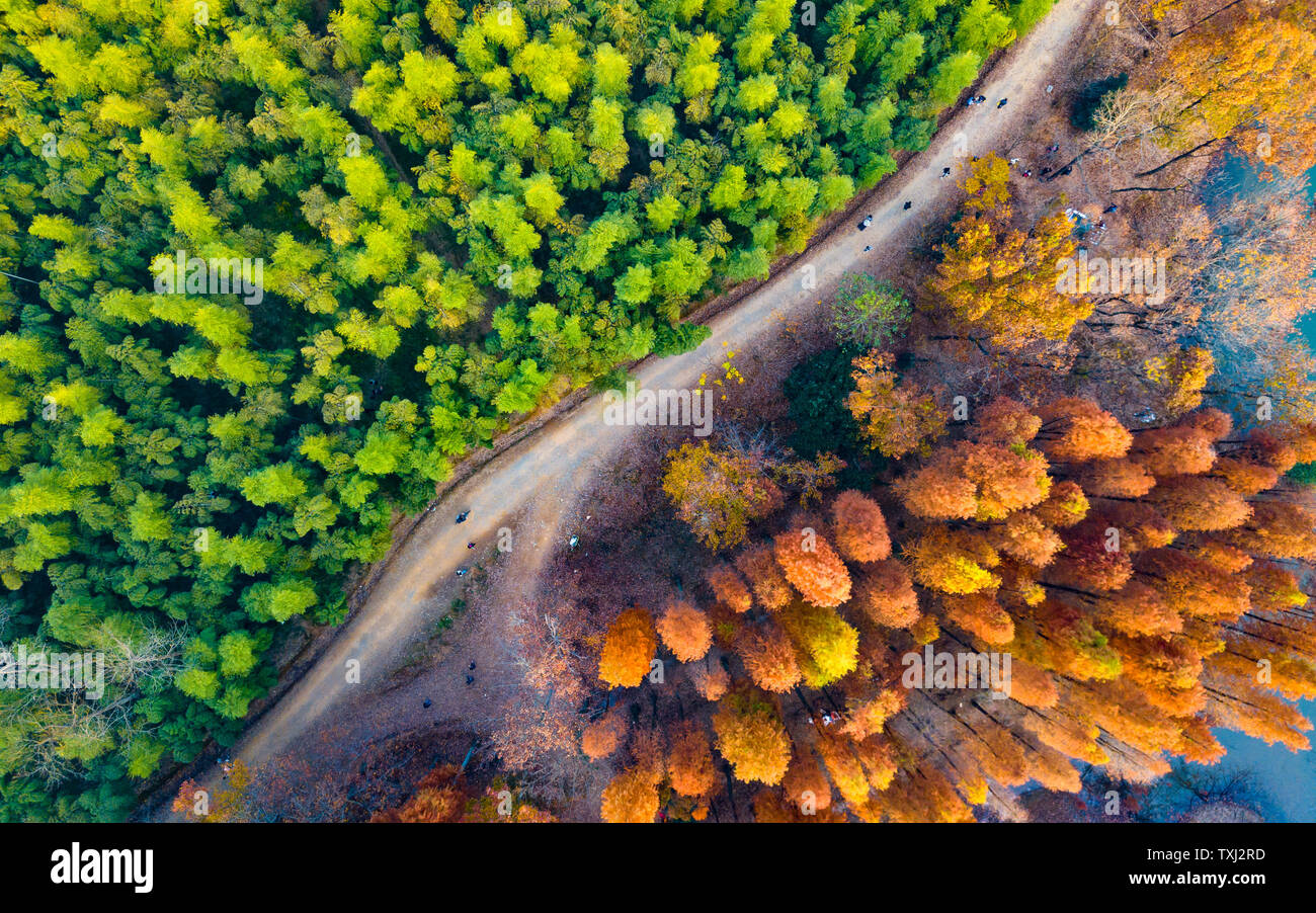 Backstage coloring hi-res stock photography and images - Alamy