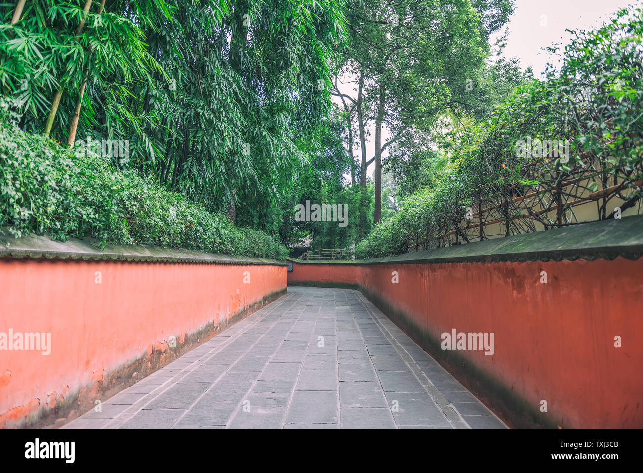 Red bamboo red wall hi-res stock photography and images - Alamy