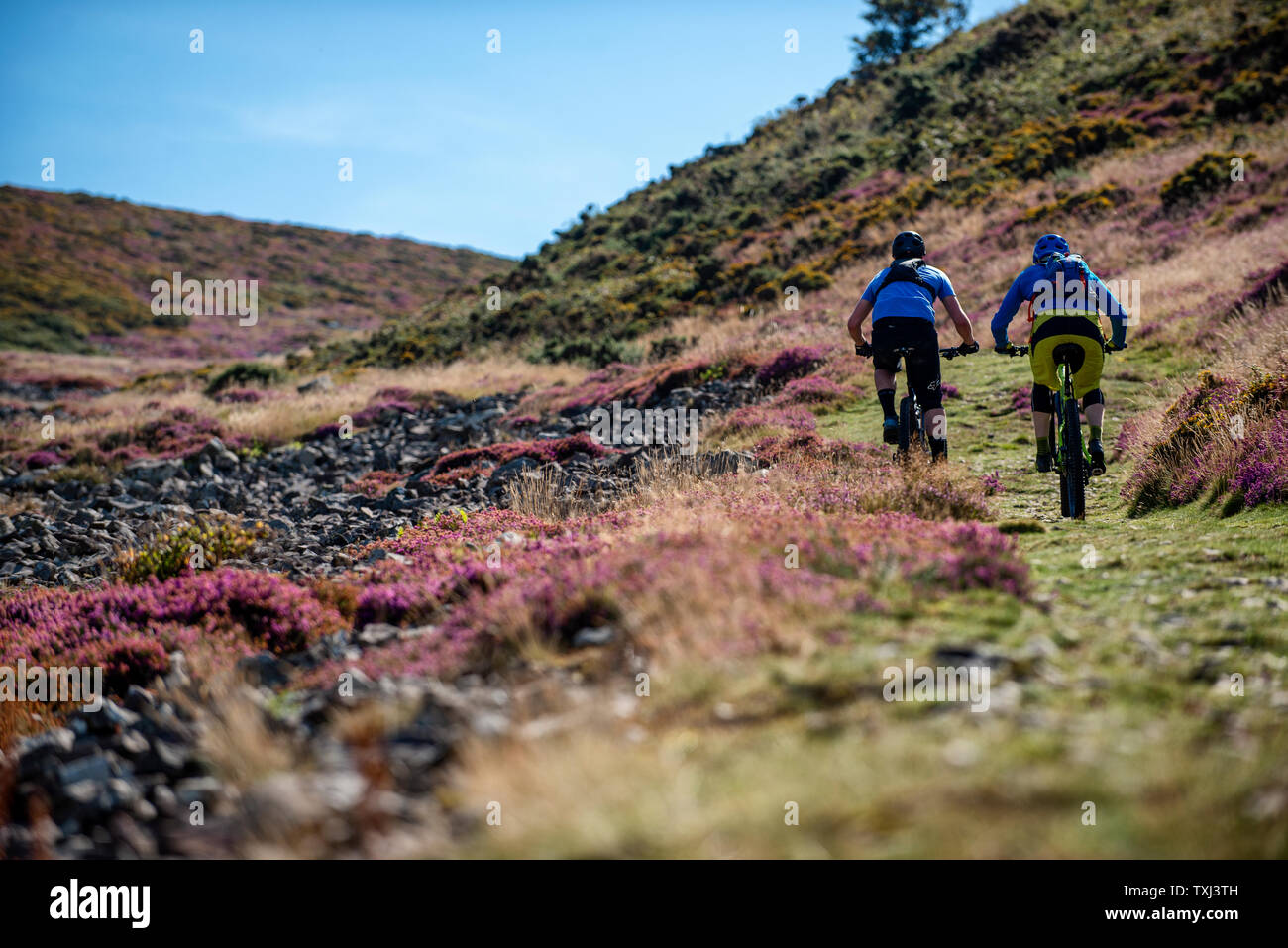 Somerset cycling beach hi-res stock photography and images - Alamy