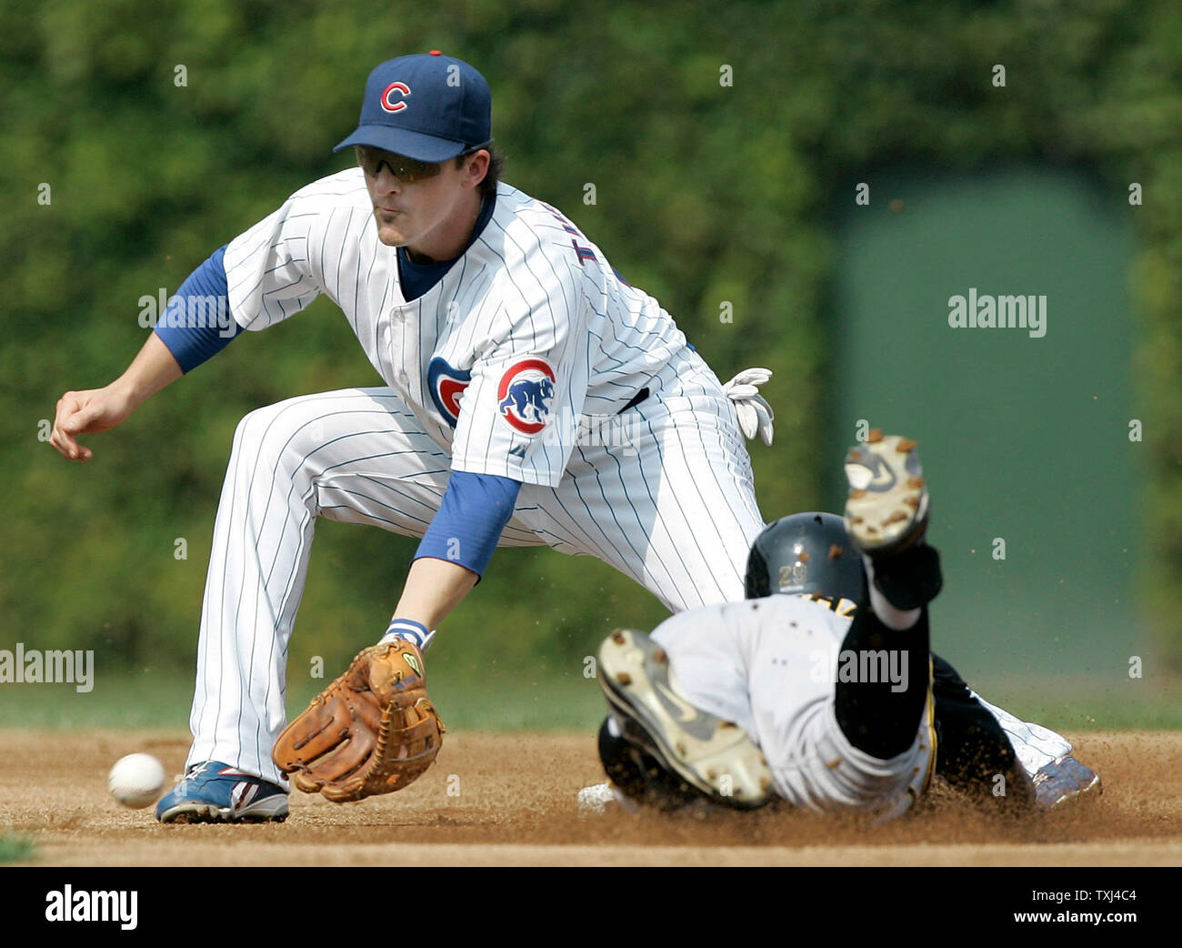Nyjer morgan baseball hi-res stock photography and images - Alamy
