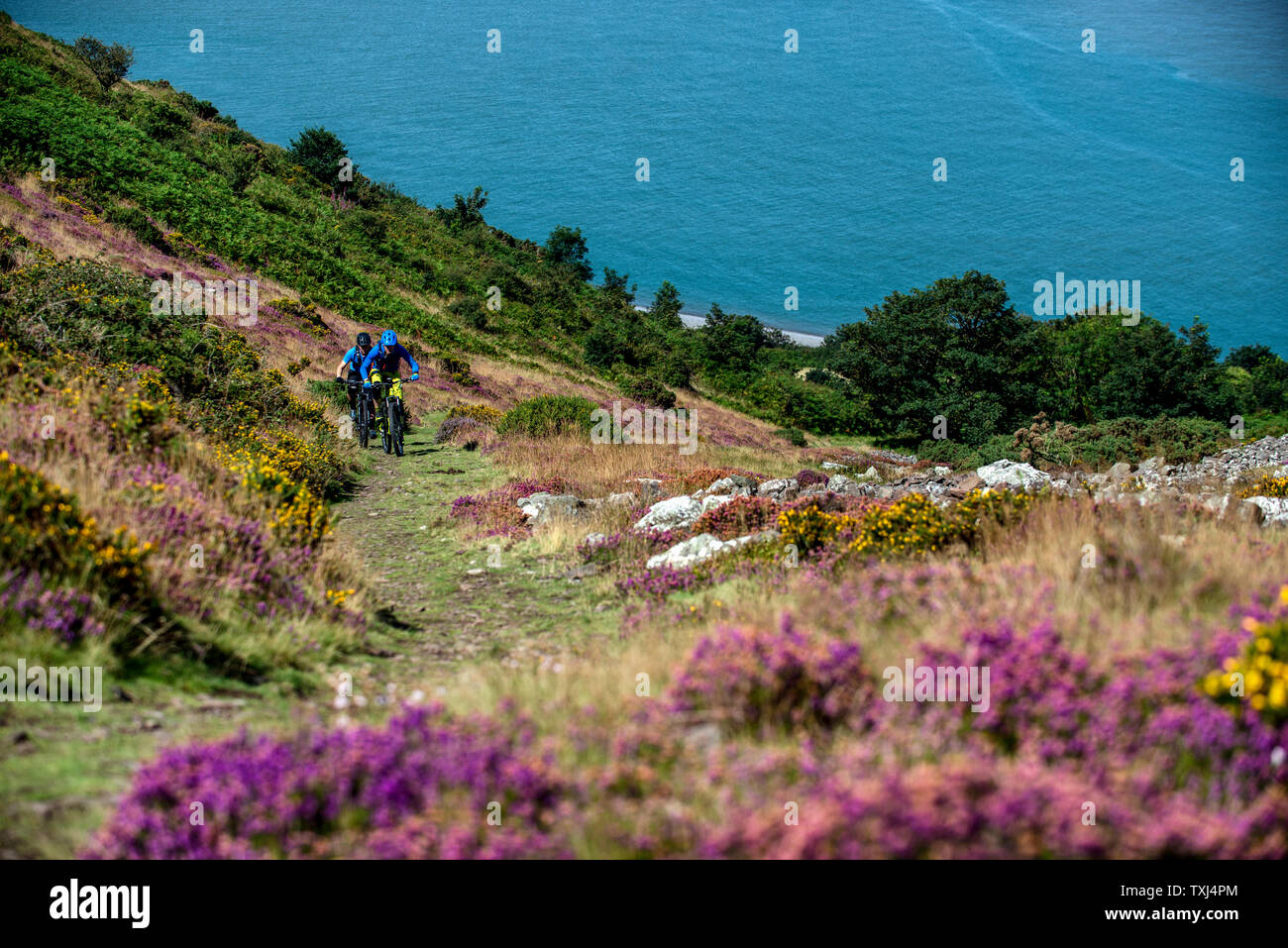Somerset cycling beach hi-res stock photography and images - Alamy