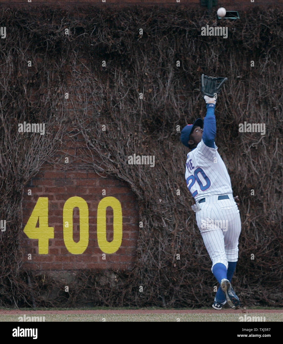 Chicago Cubs center fielder Felix Pie (20) hauls in a deep fly ball hit ...