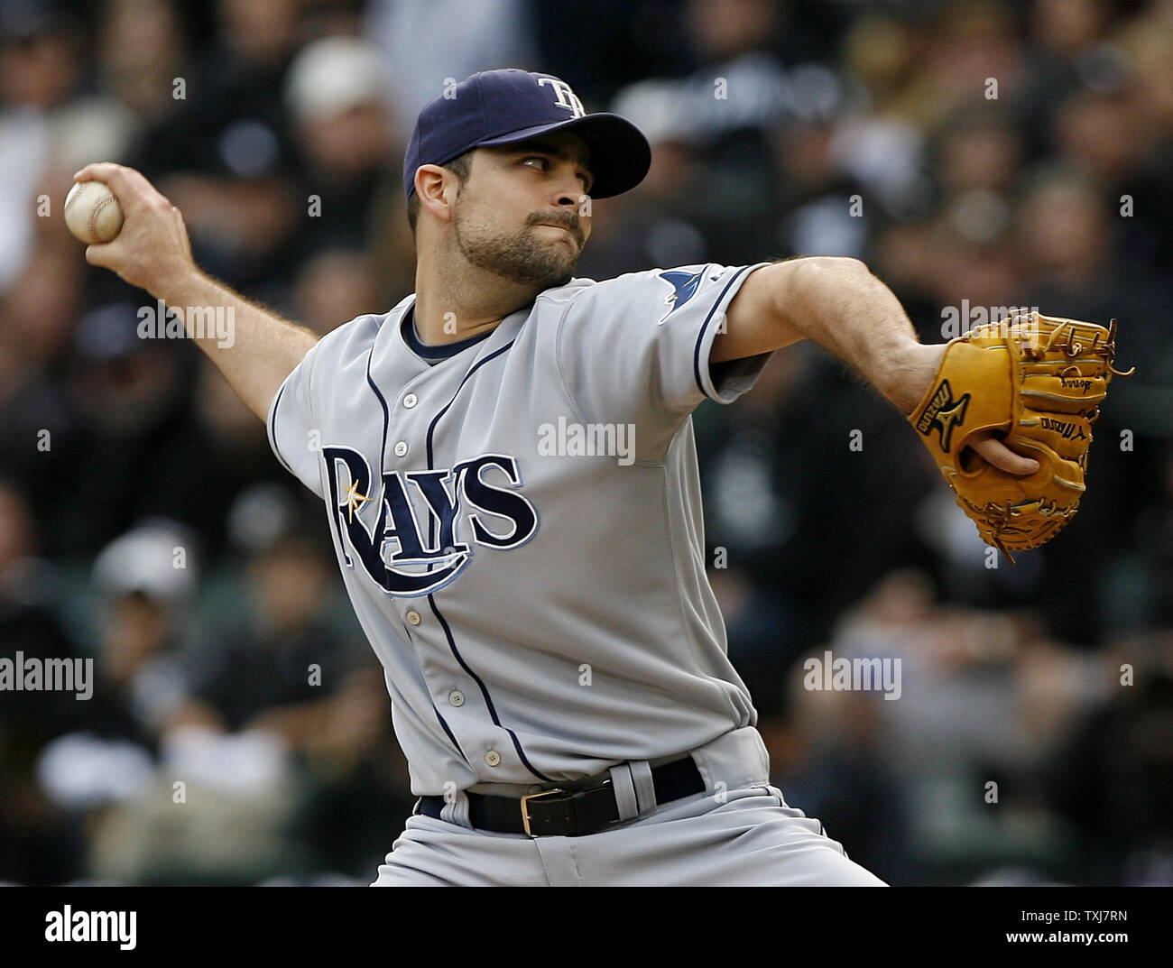 First cellular division hi-res stock photography and images - Alamy