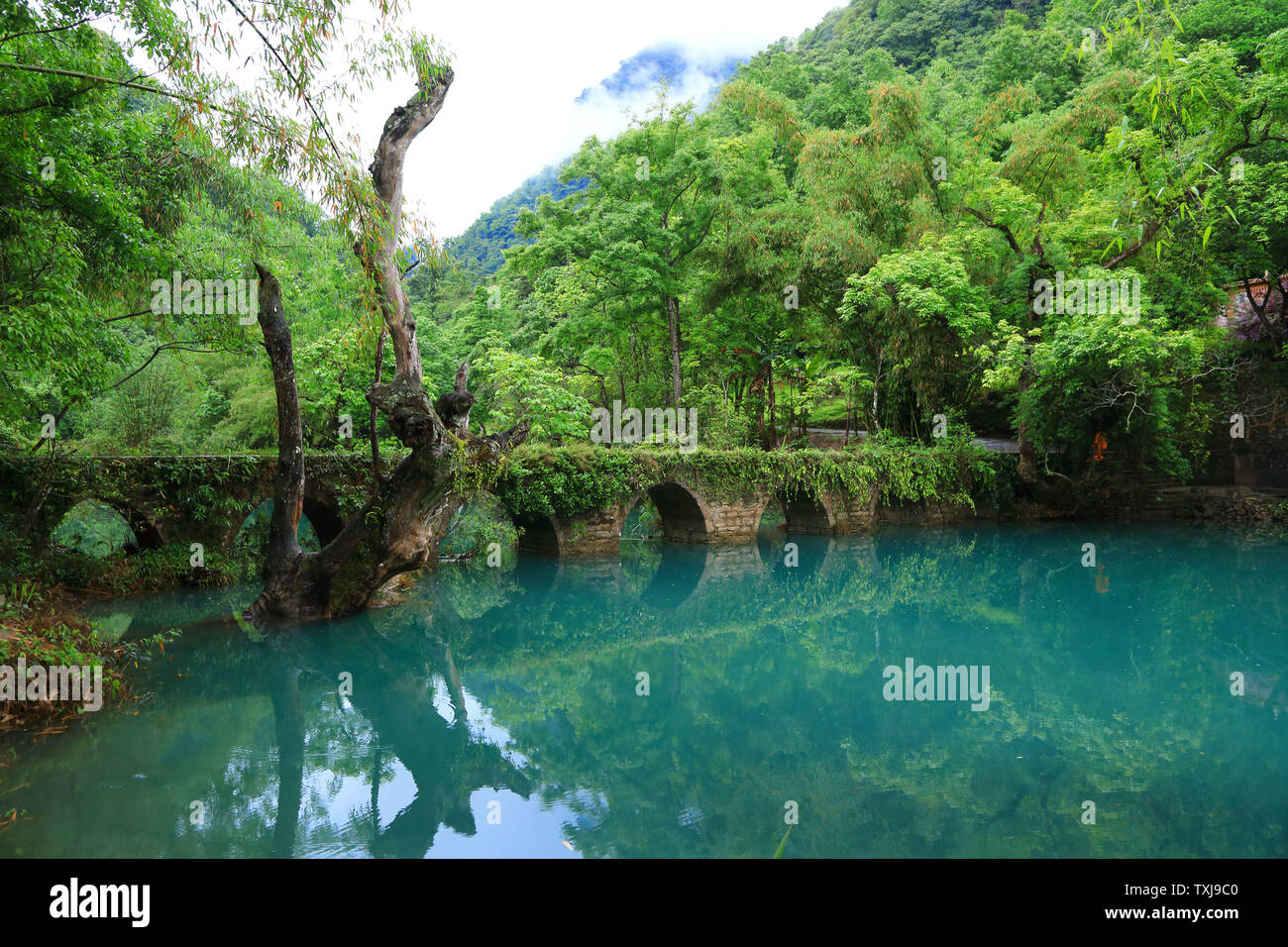 Small seven hole scenic spot hi-res stock photography and images - Alamy