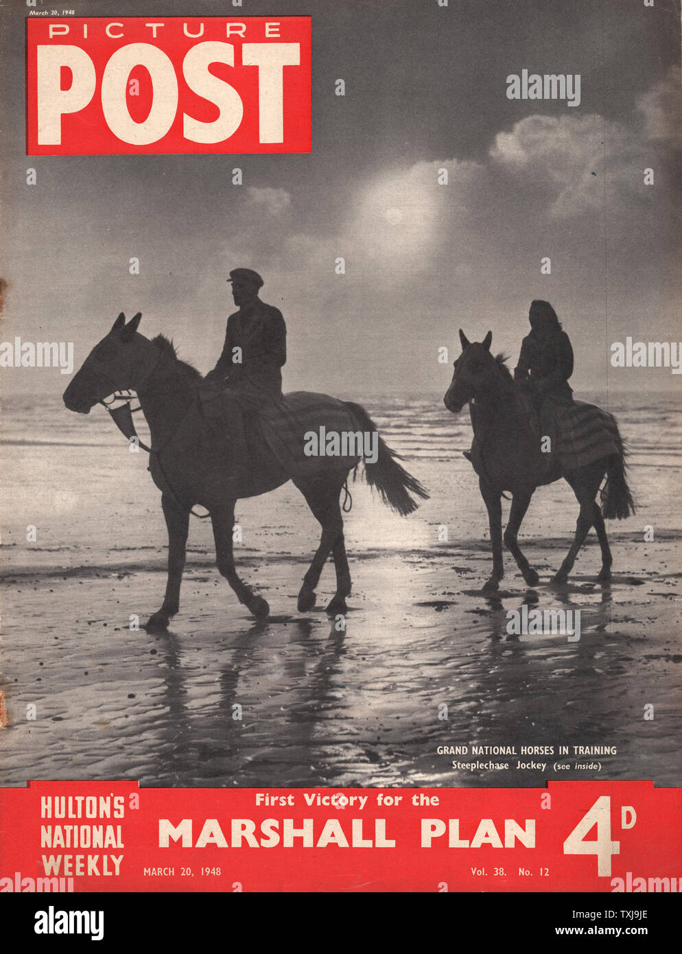 Picture horses hi-res stock photography and images - Alamy