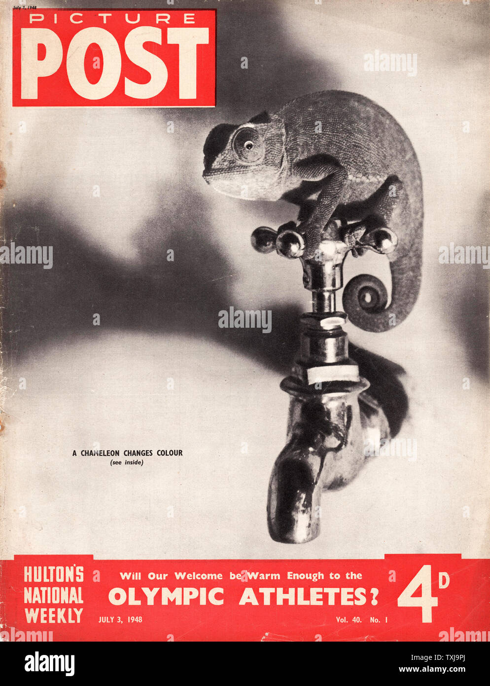 1948 Picture Post magazine front page showing a chameleon on a tap ...
