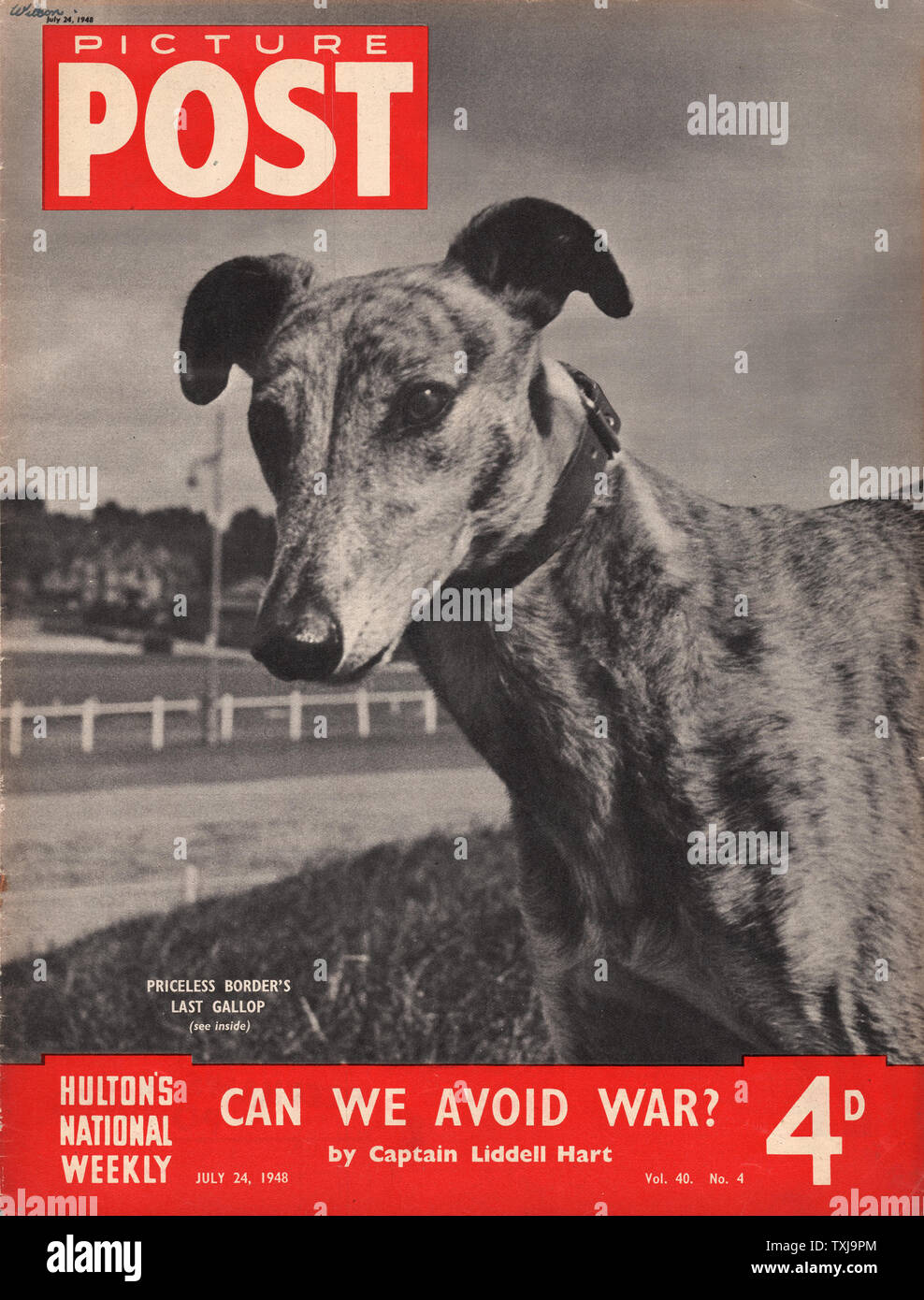 1948 Picture Post magazine front page showing greyhound Priceless ...