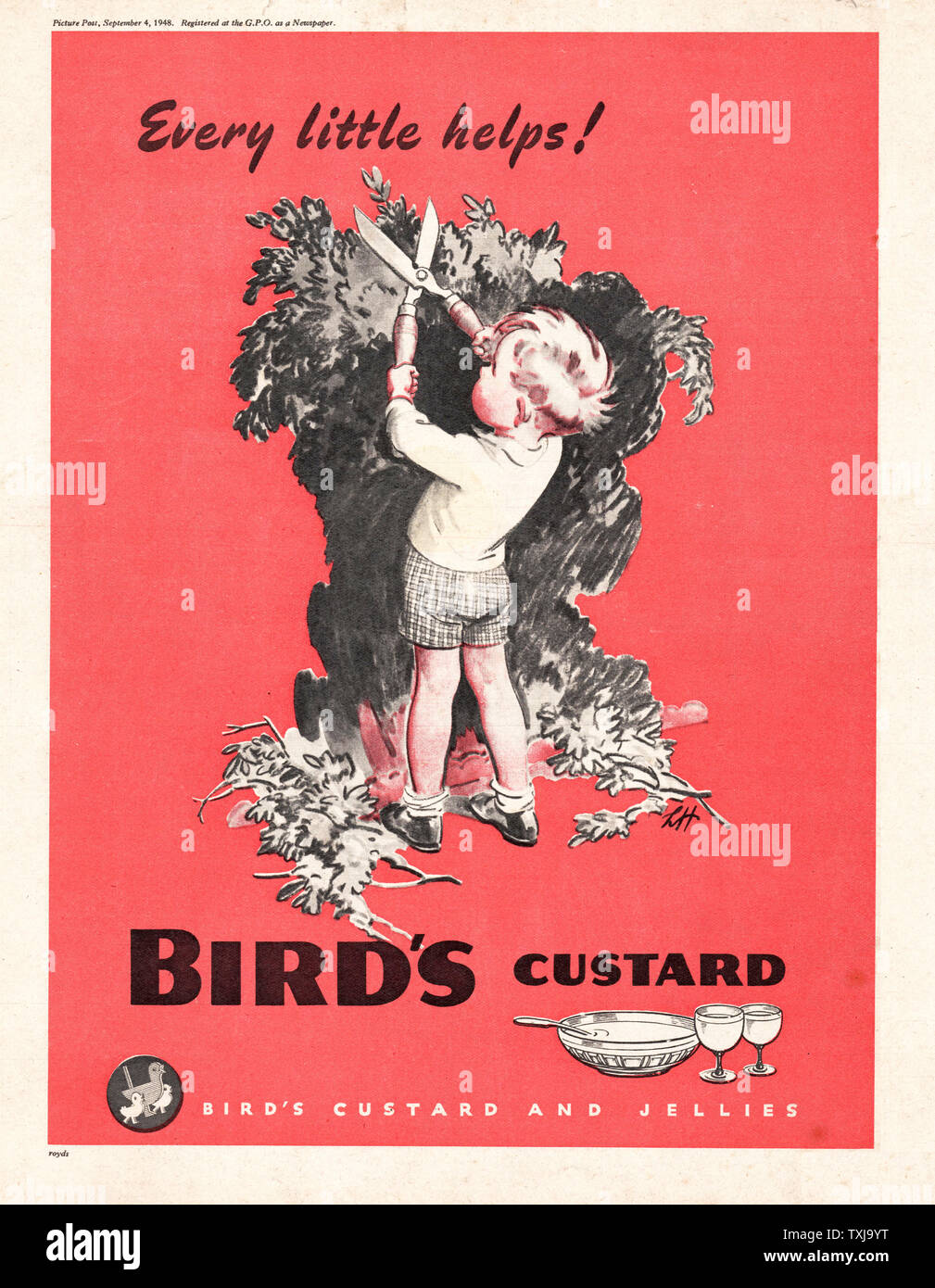 1948 UK Magazine Bird's Custard Advert Stock Photo - Alamy