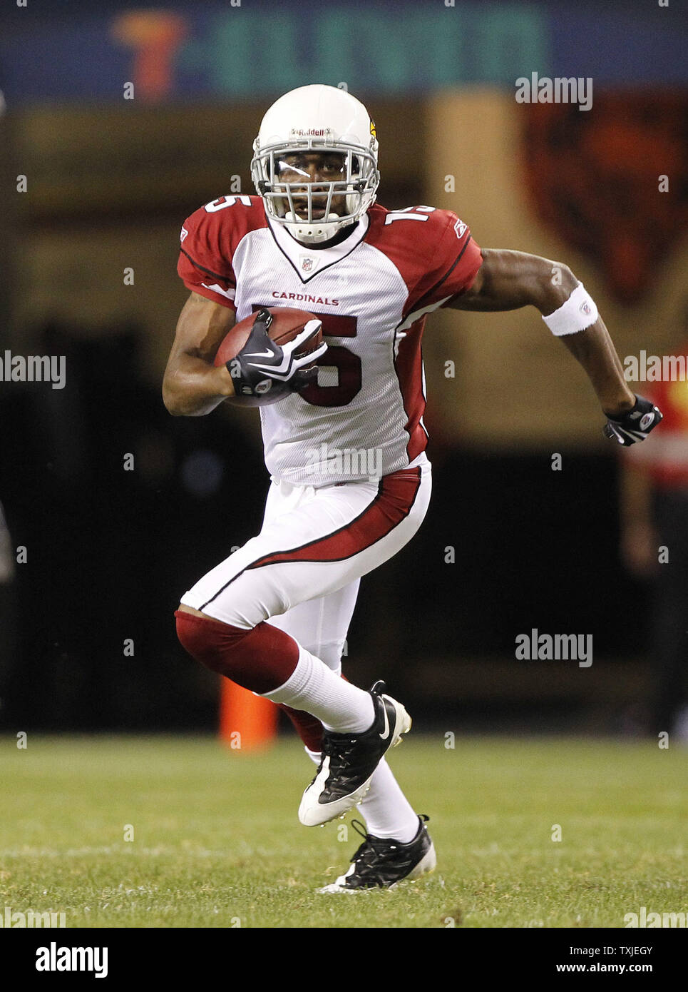 Reverse bears hi-res stock photography and images - Alamy