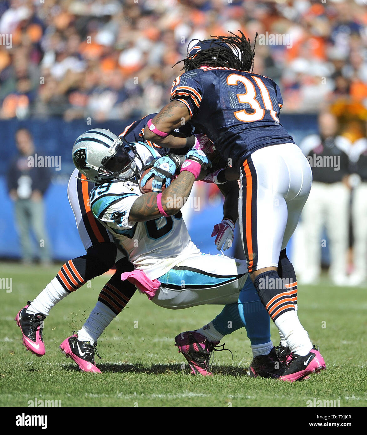 Shoulder Bears High Resolution Stock Photography and Images - Alamy