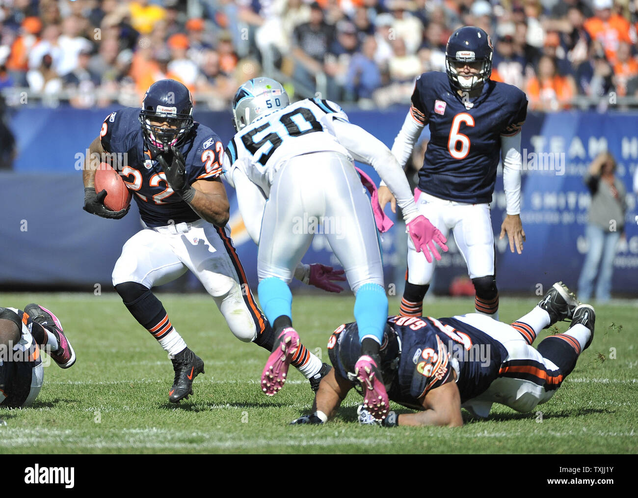 James Anderson Bears