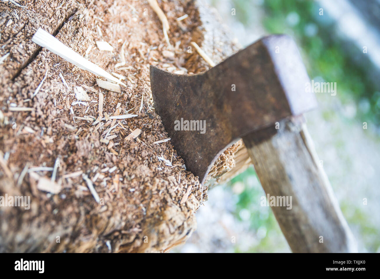 Old axe attached to a tree trunk, alpine hut Stock Photo - Alamy