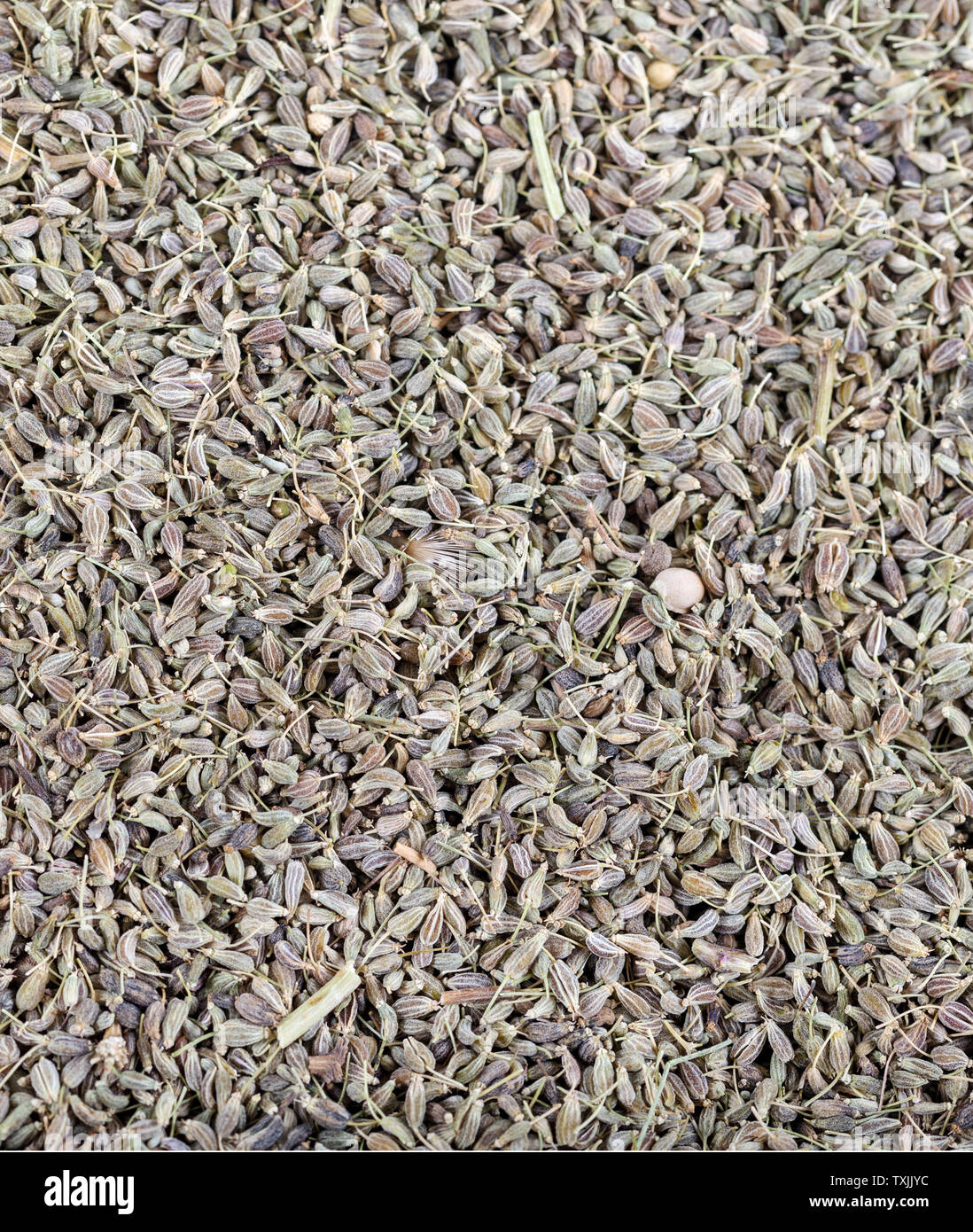 Dried fennel seeds. Background Stock Photo - Alamy