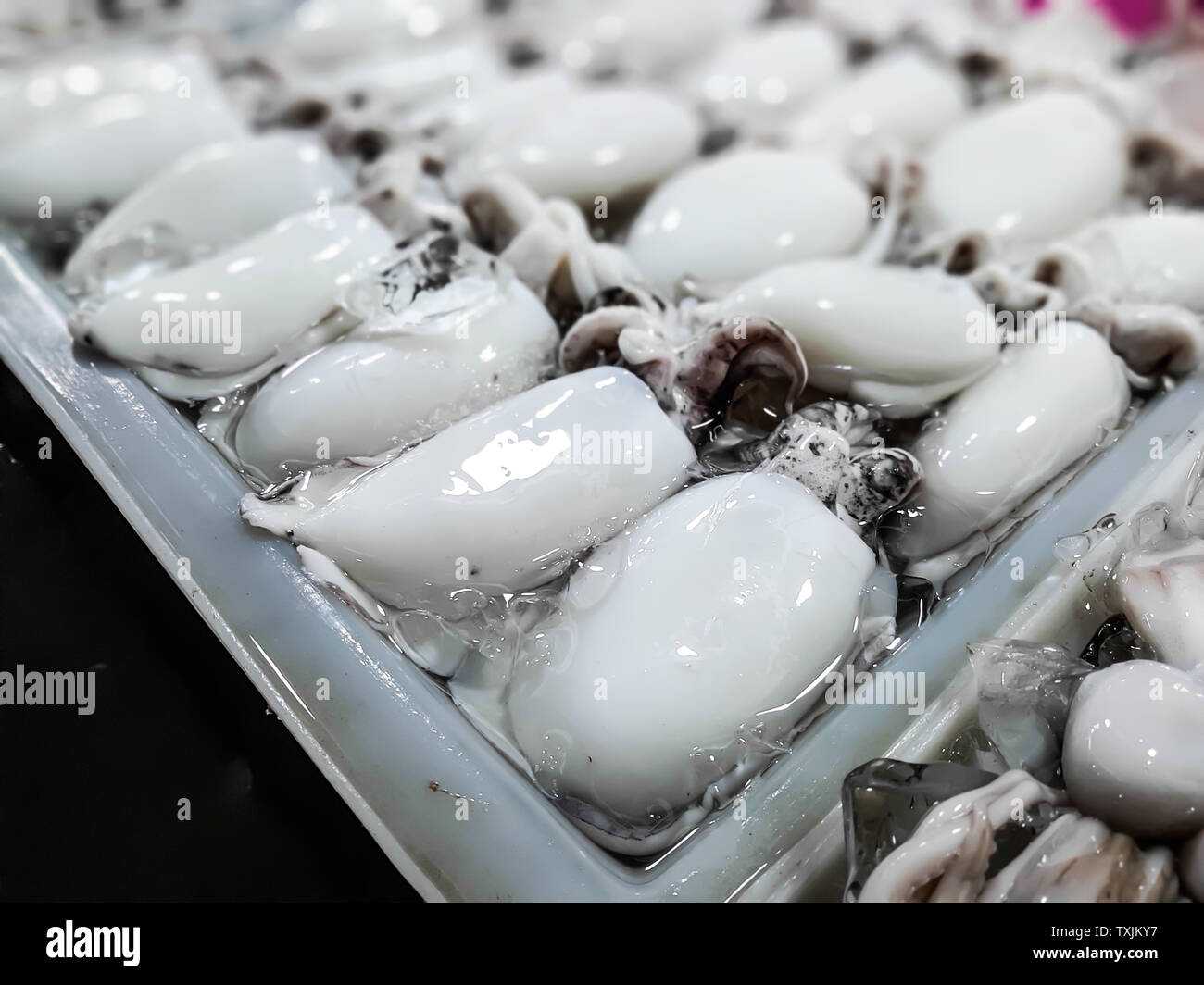 Fresh raw cuttlefish. Raw squid with ice in Seafood Market Stall Stock ...