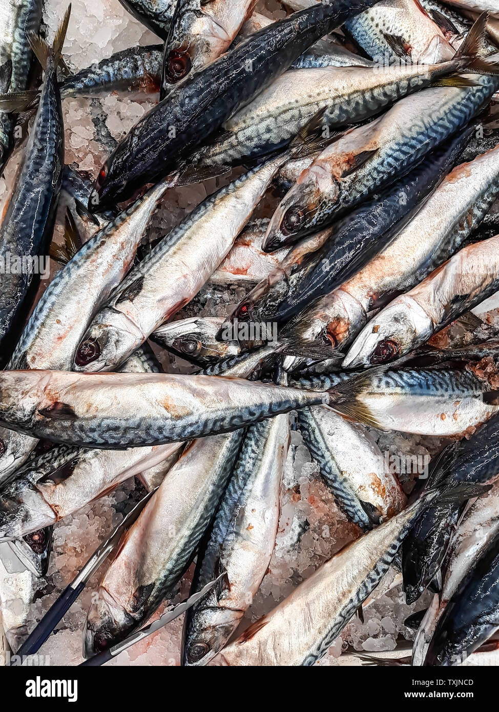Fresh fish background on Ice in Seafood Market Stall Stock Photo - Alamy