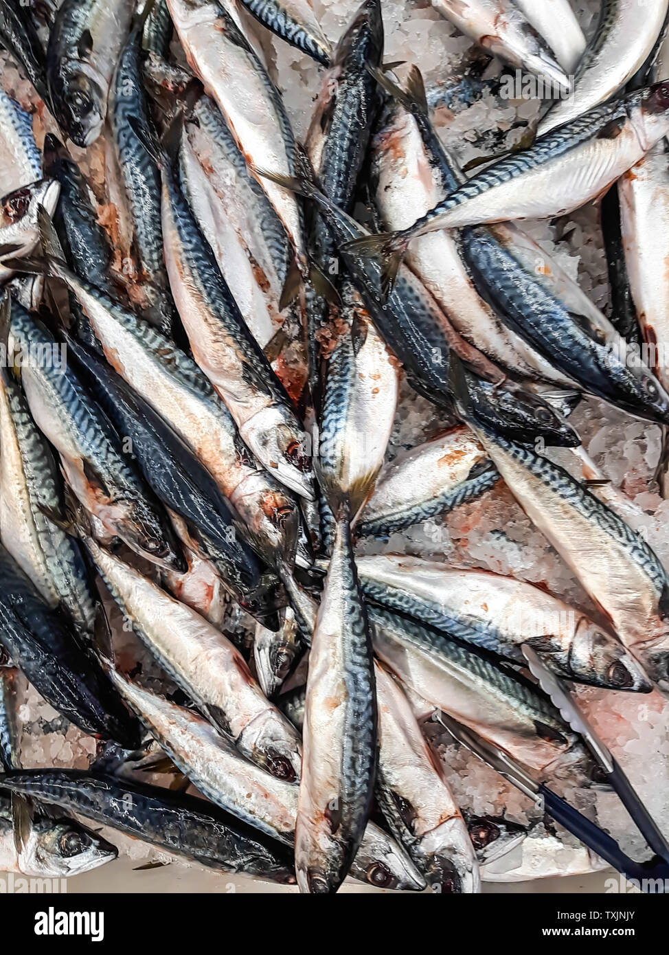 Fresh fish background on Ice in Seafood Market Stall Stock Photo - Alamy
