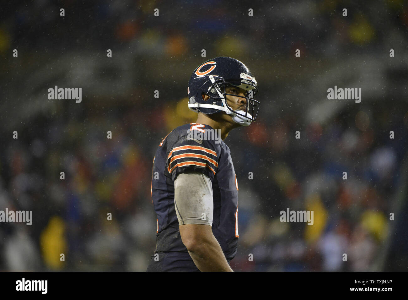 Jason Campbell Bears