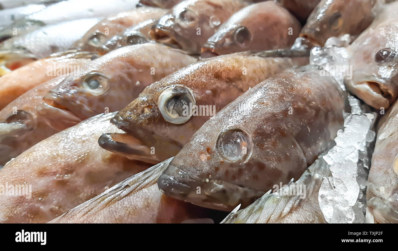 Close up Raw Fresh Fish Chilling on Ice in Seafood Market Stall Stock ...