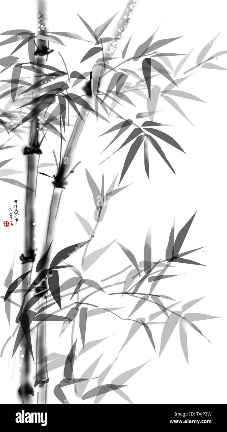 Bamboo grows Cut Out Stock Images & Pictures - Alamy