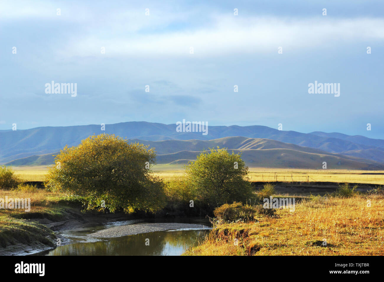 Golden terrain and natural scenery hi-res stock photography and images ...