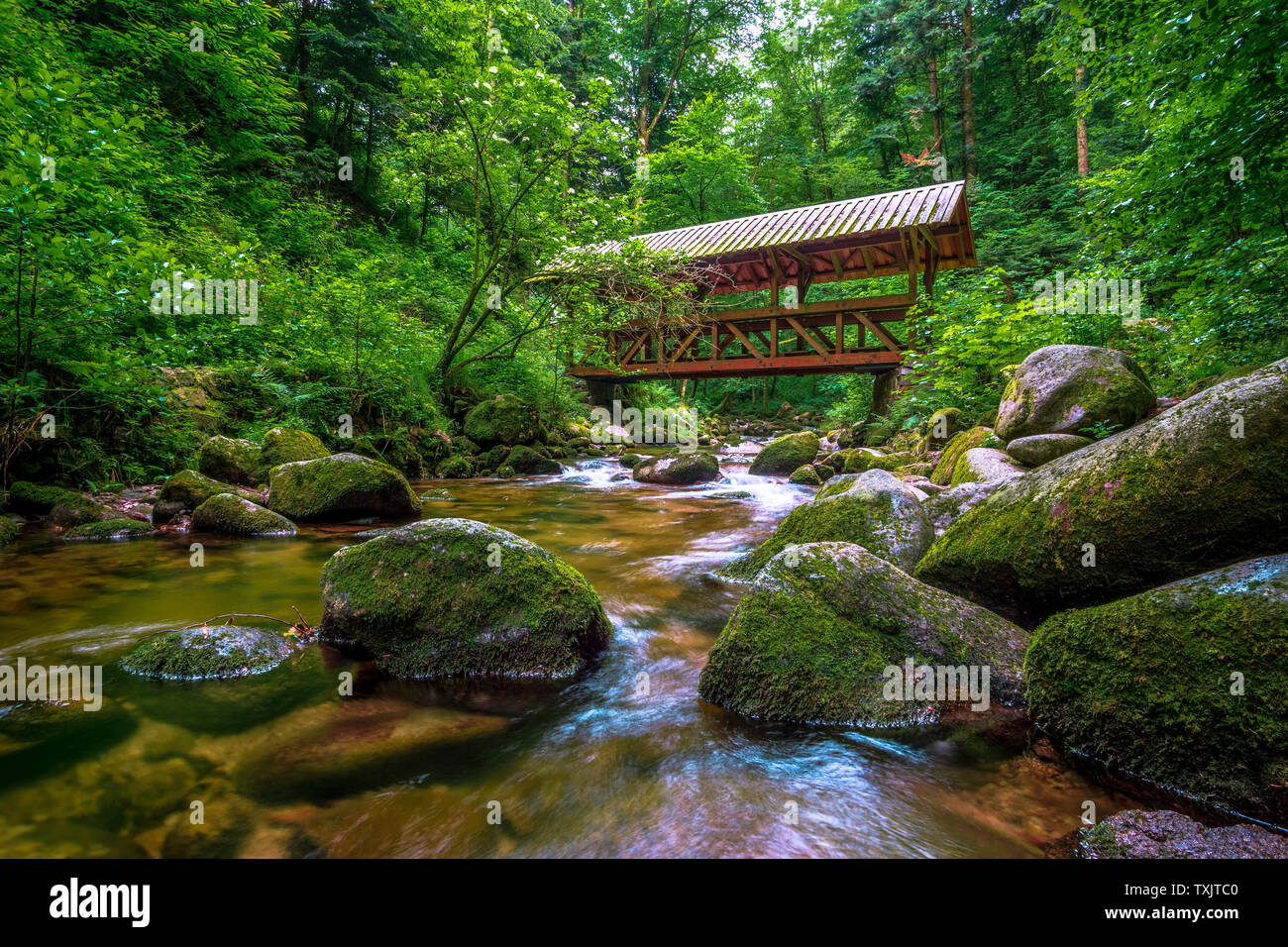 Beautiful Geroldsau Waterfall in Black Forest, Germany Stock Photo - Alamy