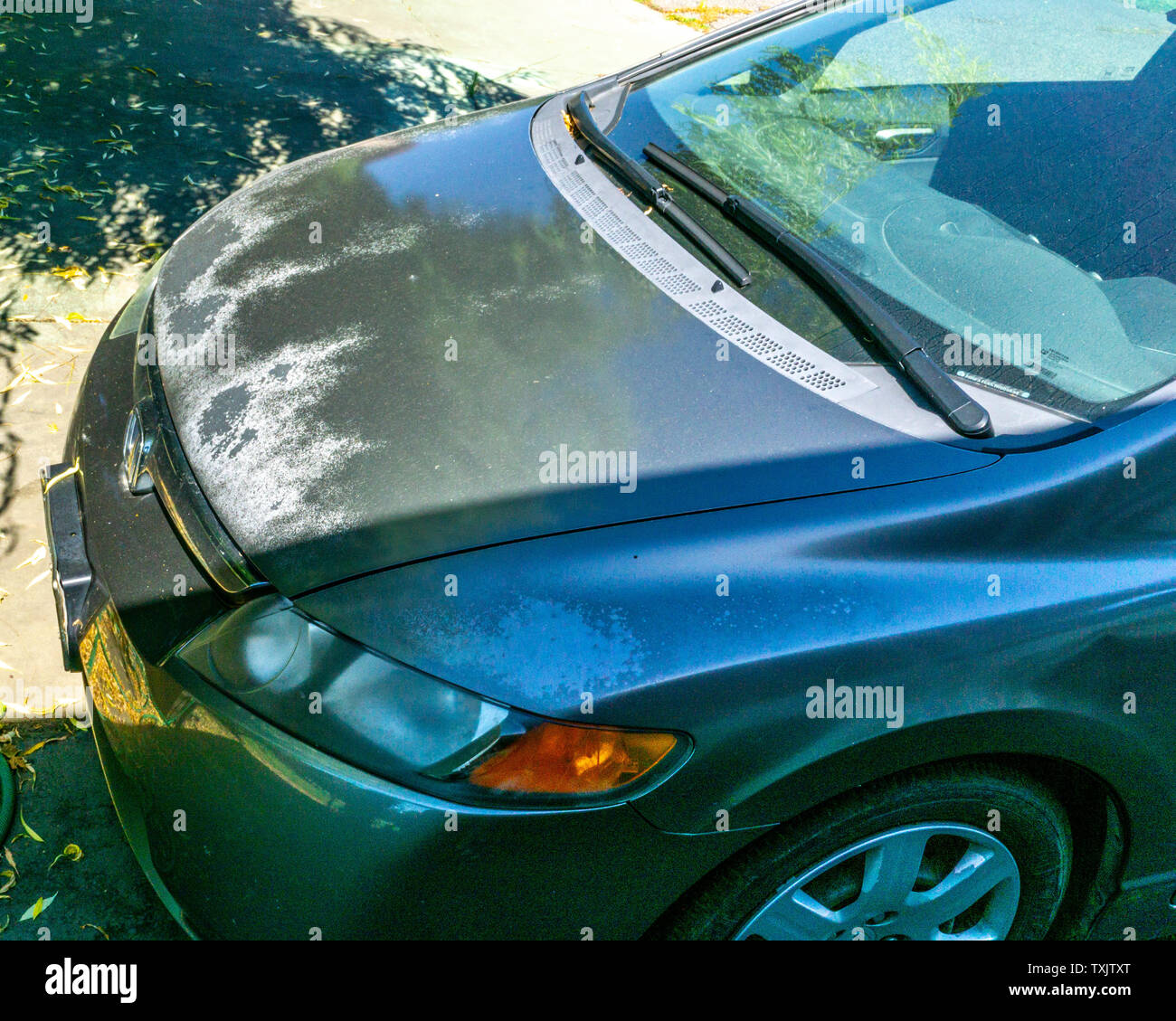 A 2007 Honda Civic with deteriorated paint and a dented door Stock ...