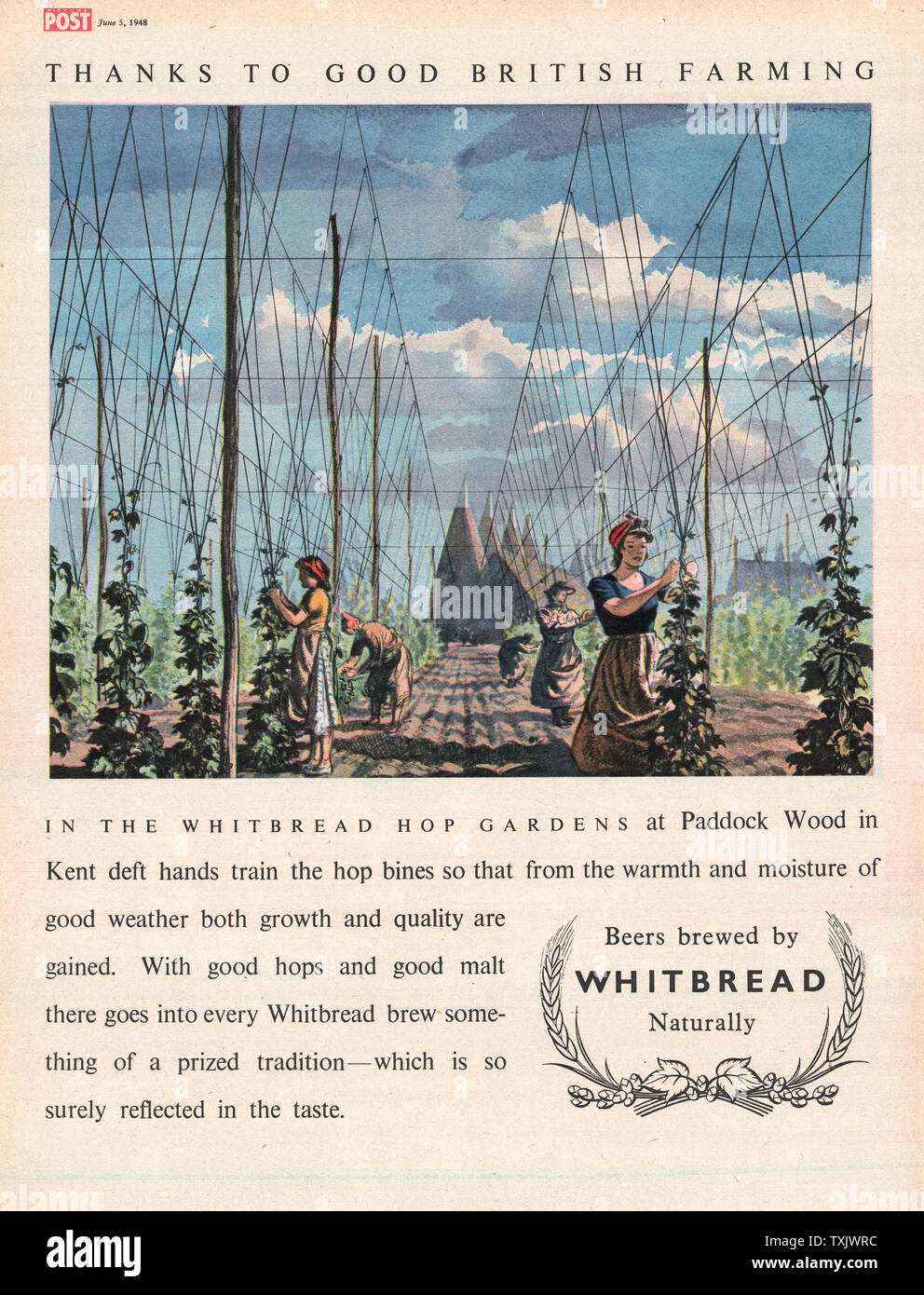 Whitbread Plc High Resolution Stock Photography and Images - Alamy