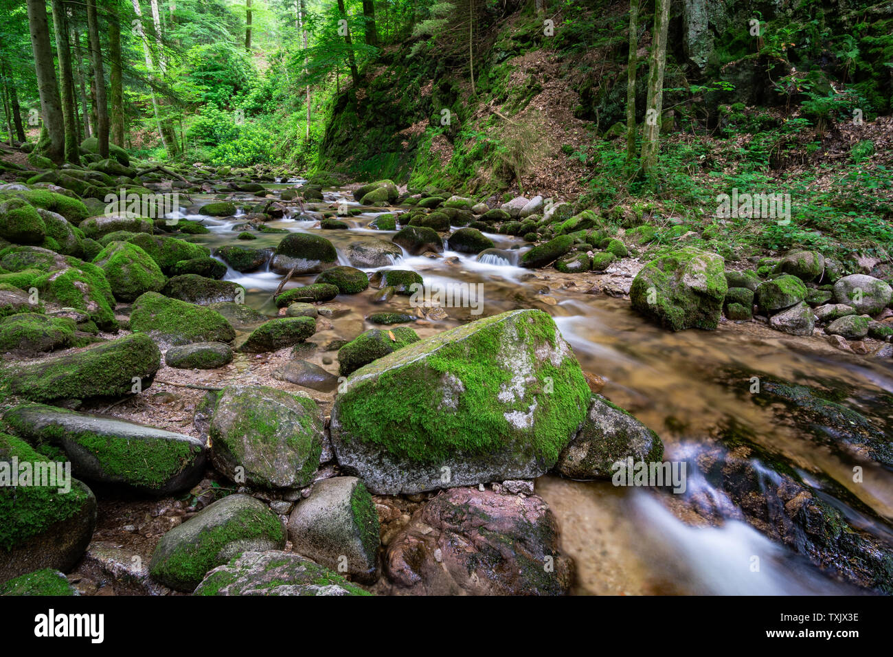Beautiful Geroldsau Waterfall in Black Forest, Germany Stock Photo - Alamy