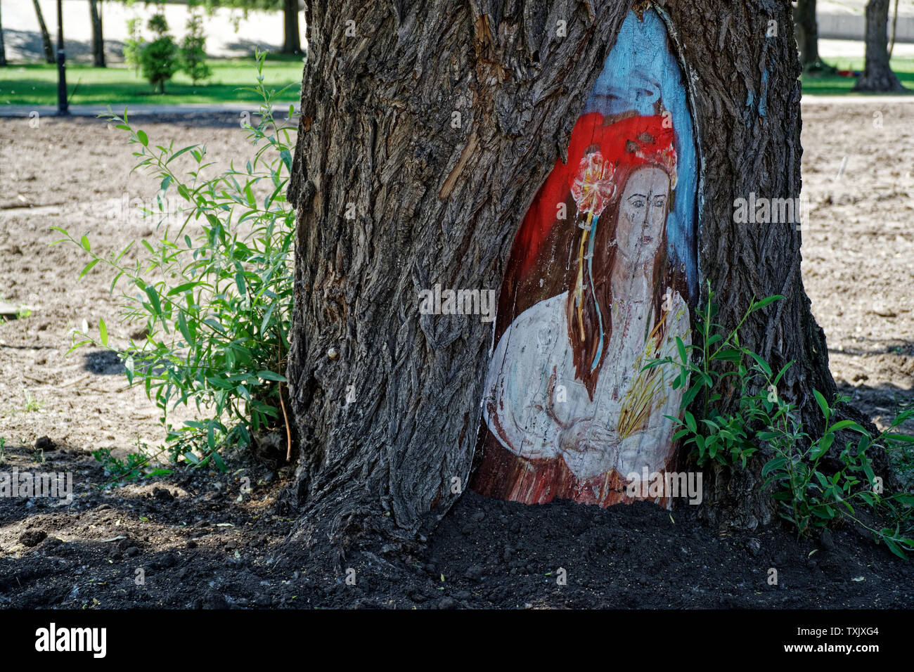 Picture of woman in traditional clothes on tree trunk Stock Photo - Alamy
