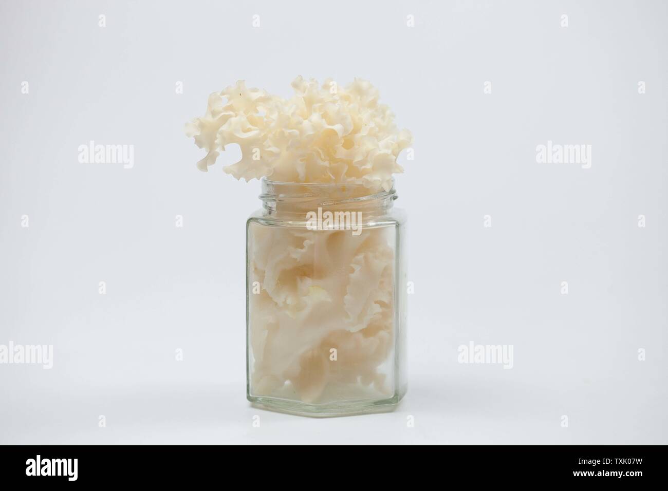 Goose intestines hi-res stock photography and images - Alamy