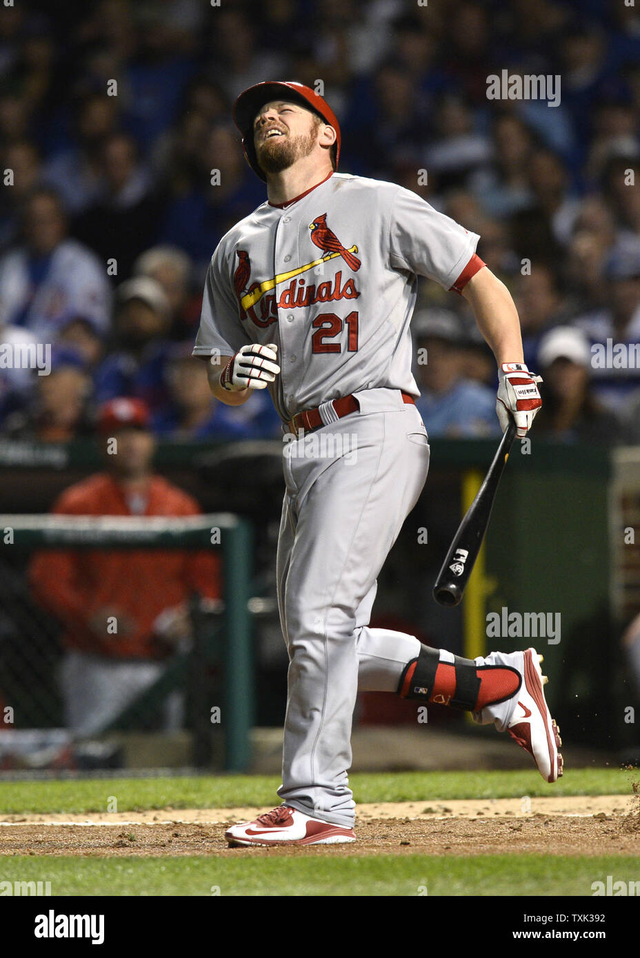 Wrigley moss hi-res stock photography and images - Alamy