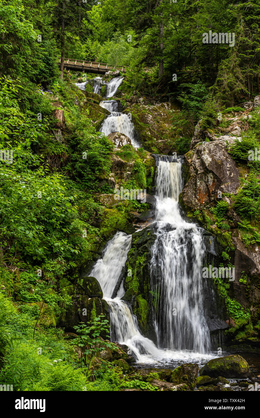 the waterfall cascade of triberg in the black forest, germany Stock ...